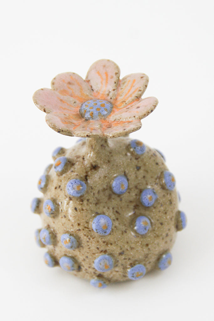 Jen Dwyer - "Round Tan Plant" – Hashimoto Contemporary