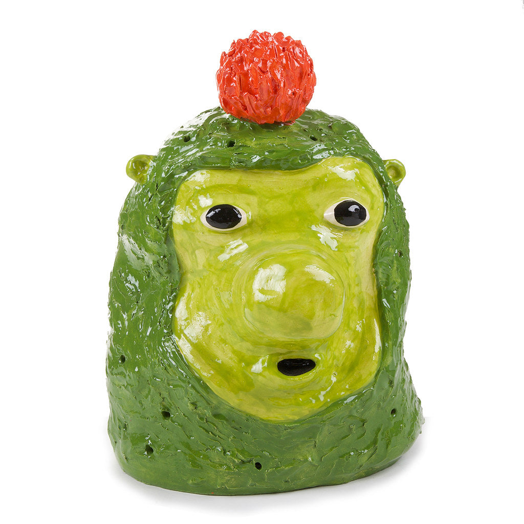 Proboscis Cactus - Katie Kimmel – Hashimoto Contemporary